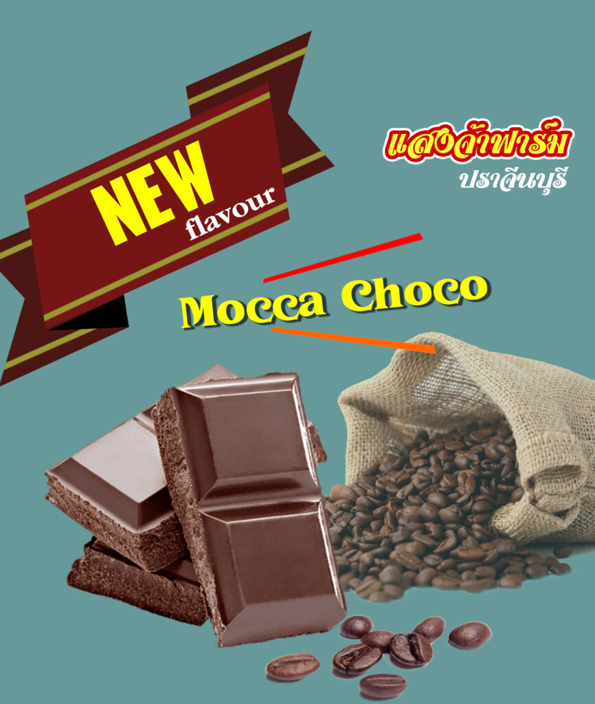 Mocca chocolate – Saengcha Farm
